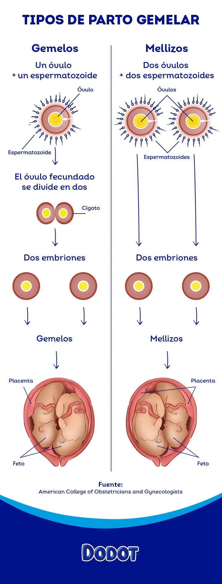 Trucos antiguos para saber si podrías estar embarazada y qué señales v...