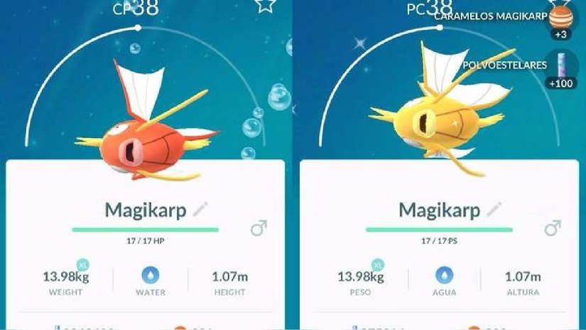 Cómo capturar shiny en Pokémon GO: truco infalible | MILTRUCOS